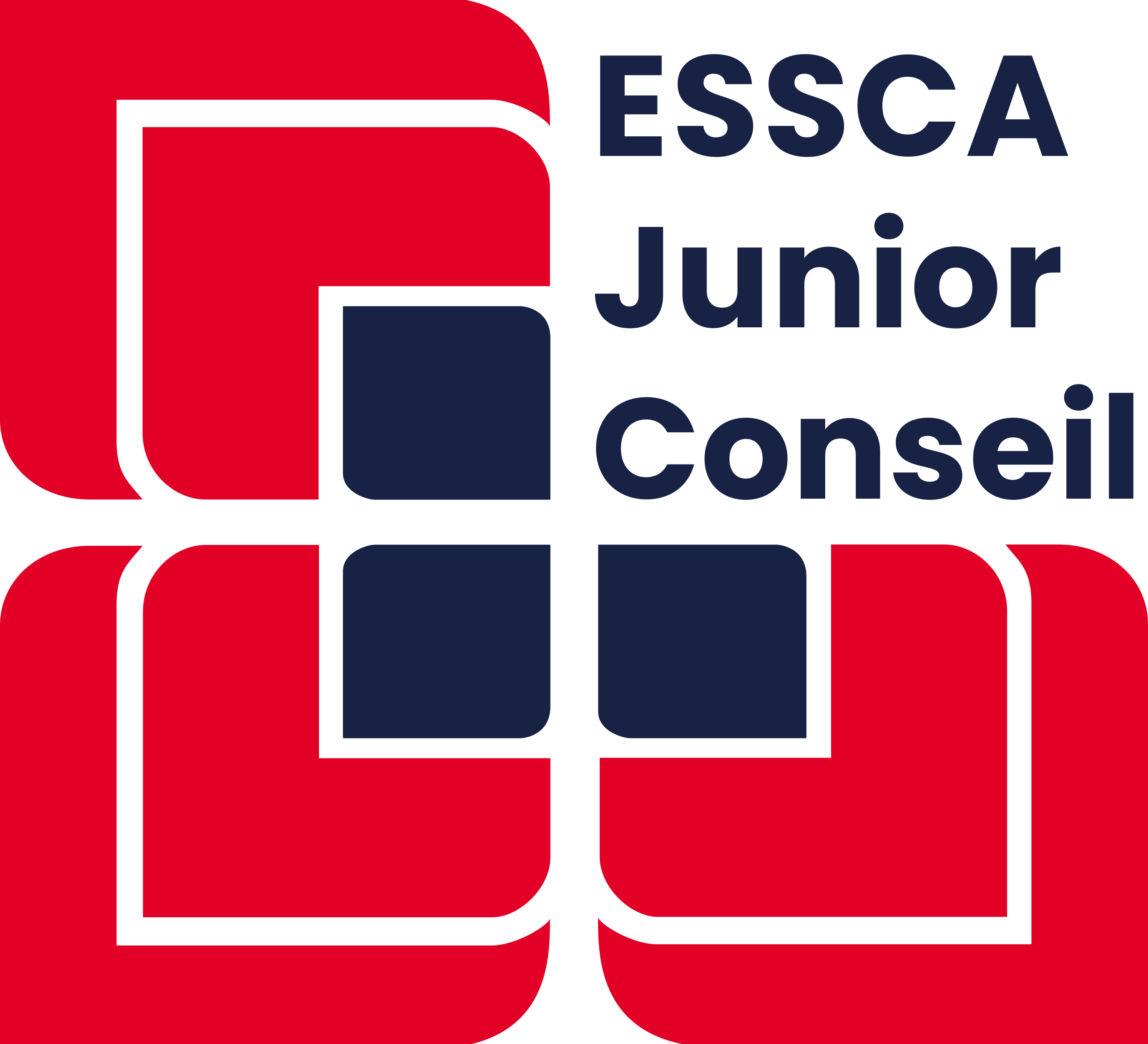 Junior-Entreprise ESSCA