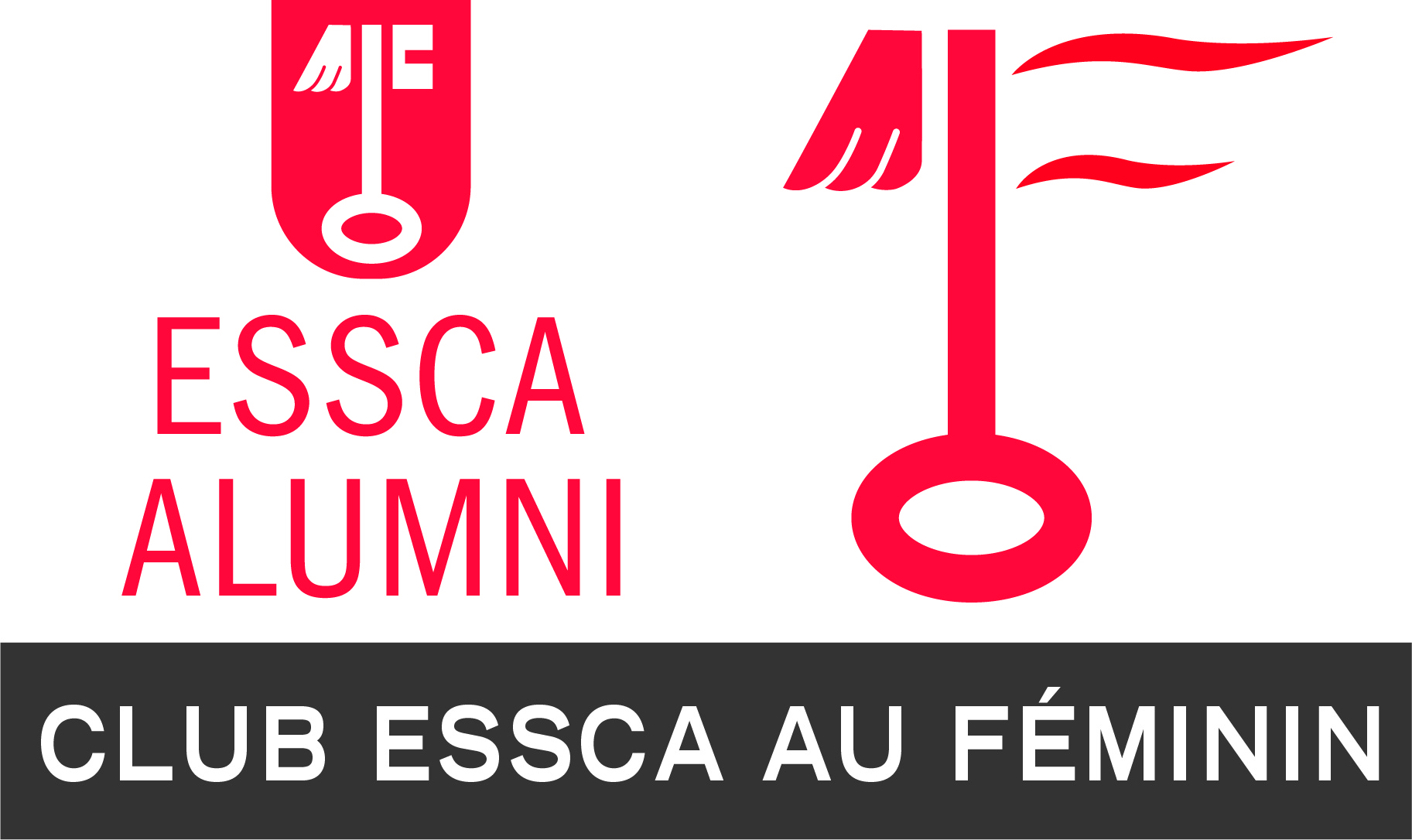 ESSCA Alumni - Accueil