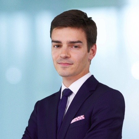 Accounting and ESG standards Director, Alstom